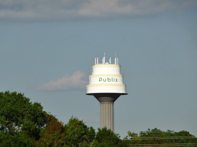publix birthday cake water tower 5