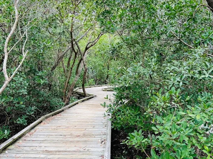 quick point nature preserve 8