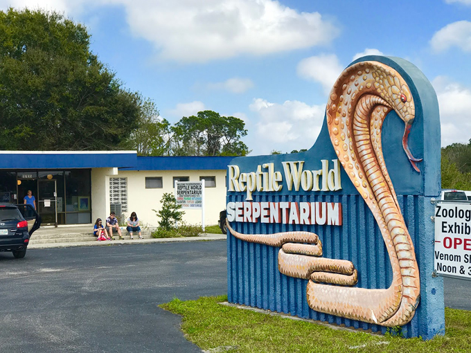 reptile world serpentarium 1