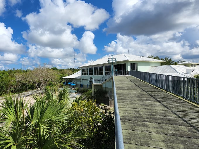 rookery bay environmental learning center 2