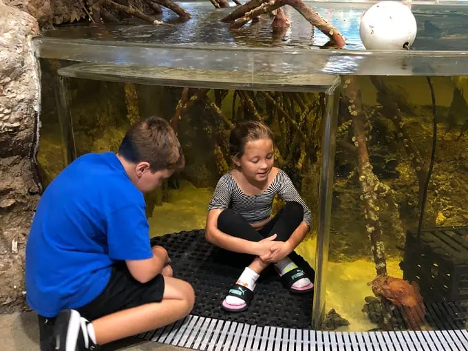 rookery bay environmental learning center 7