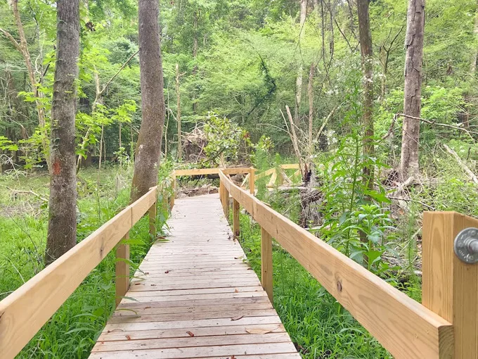 san felasco hammock preserve state park 8