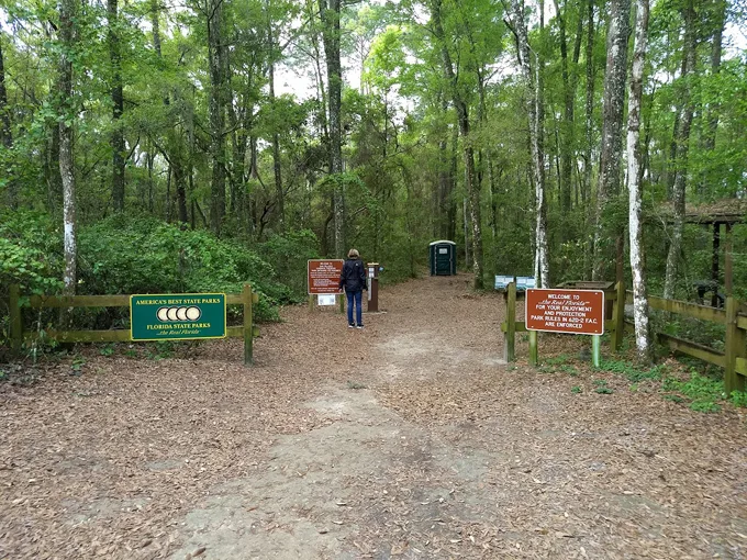 san felasco hammock preserve state park 9