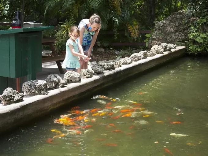 sarasota jungle gardens 2