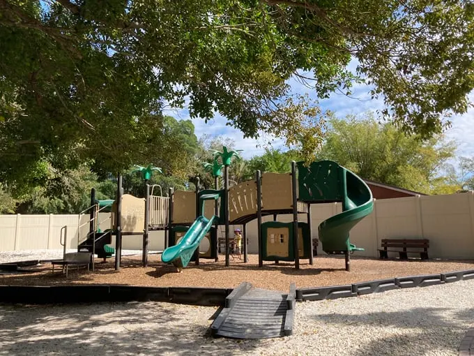sarasota jungle gardens 8