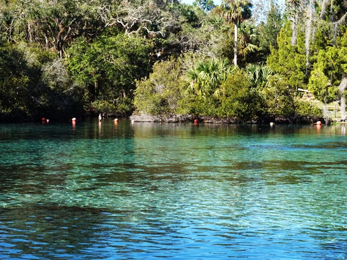 silver glen springs 2