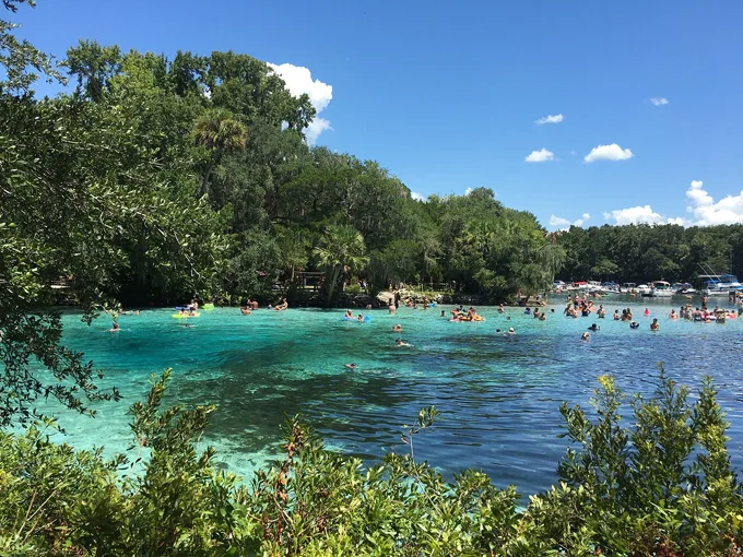 silver glen springs 3