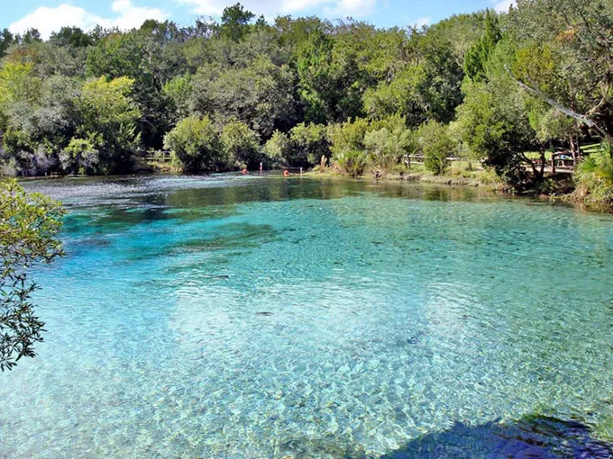 silver glen springs 8