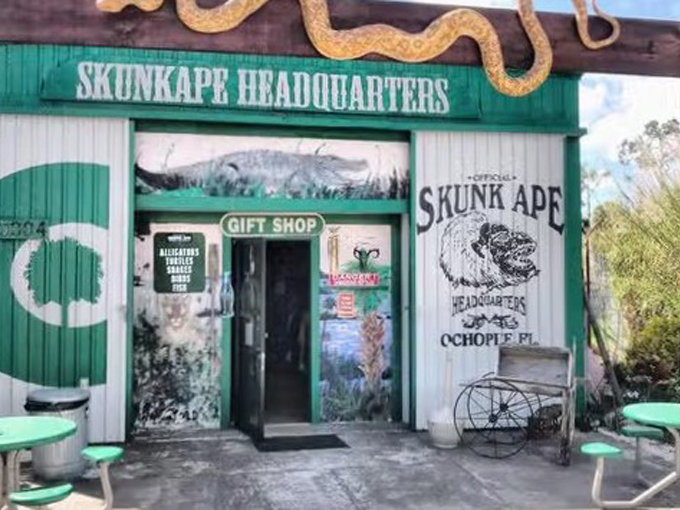 skunk ape headquarters 9