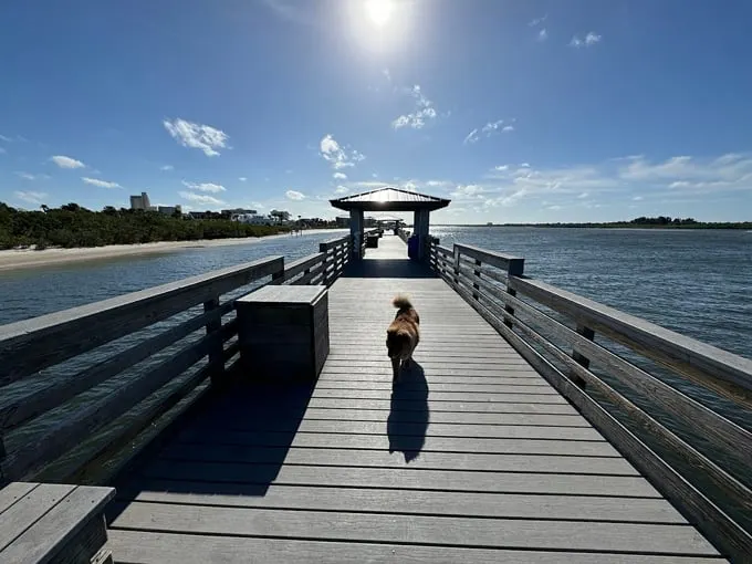 smyrna dunes park 4