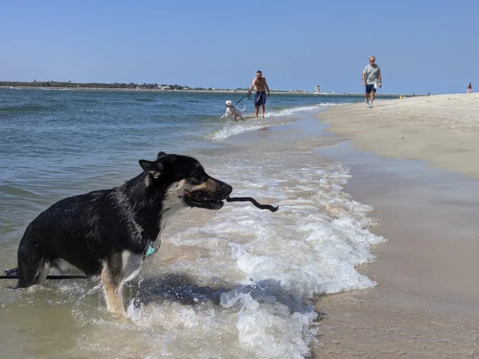 smyrna dunes park 6