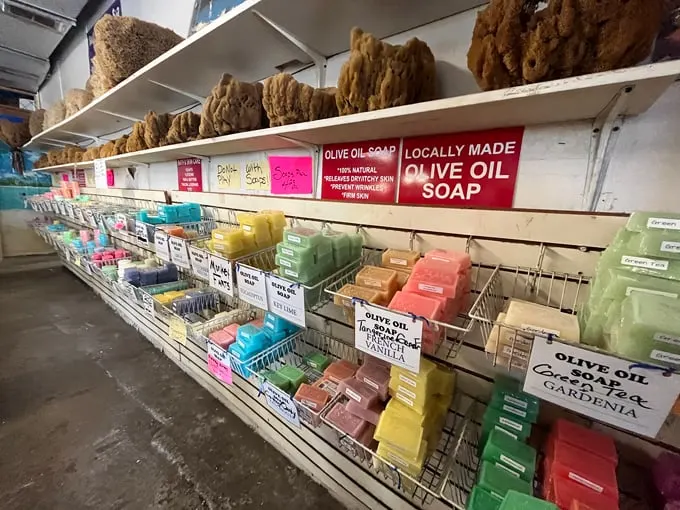 spongeorama sponge factory 6