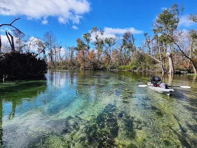 spring creek marianna 1