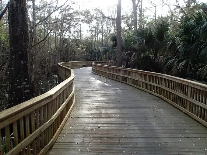 spring to spring trail 1