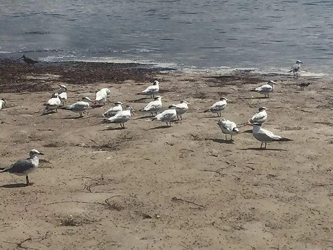 sunset beach 6