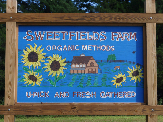 sweetfields farm 1