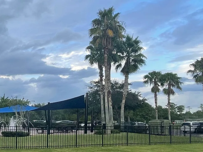 tanja king park 2