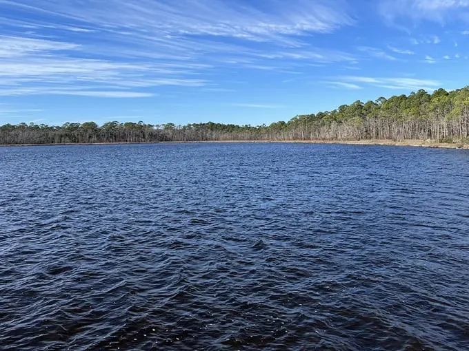 tarkiln bayou preserve state park 6