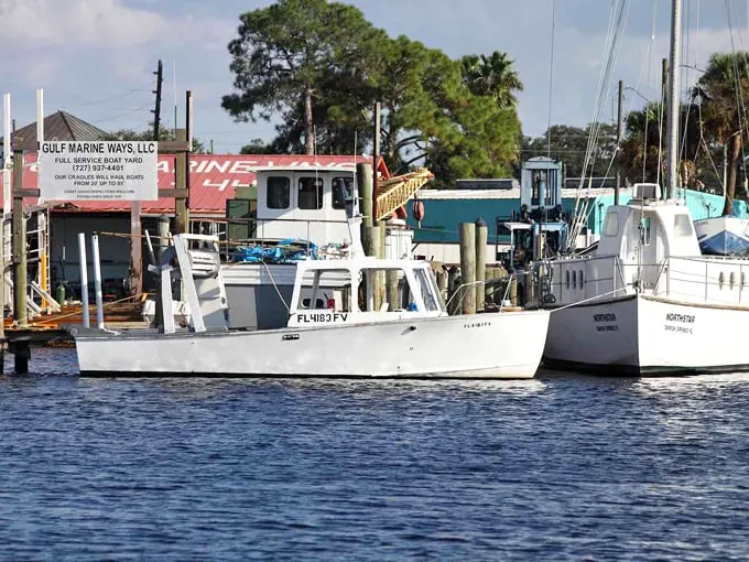 tarpon springs 3