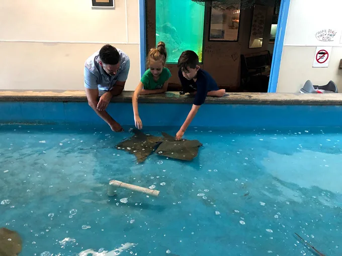 tarpon springs aquarium and animal sanctuary 4