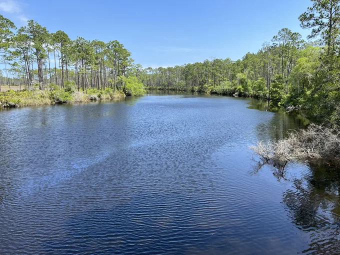 tates hell state forest 7
