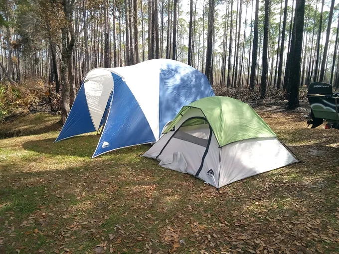 tates hell state forest 8