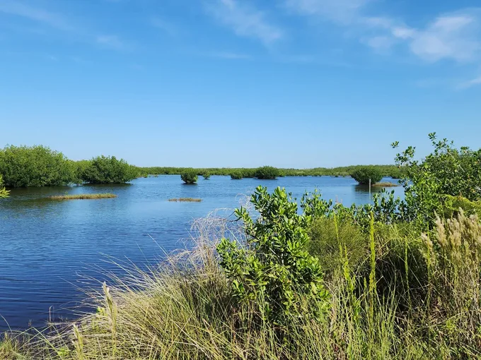 ten thousand islands national wildlife refuge 1