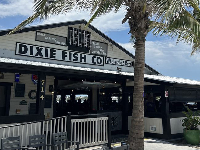 the dixie fish co 1