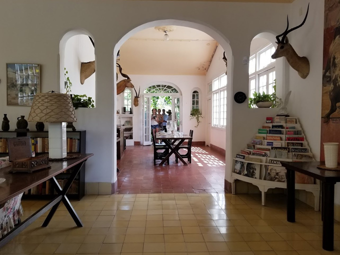 the hemingway home and museum 7