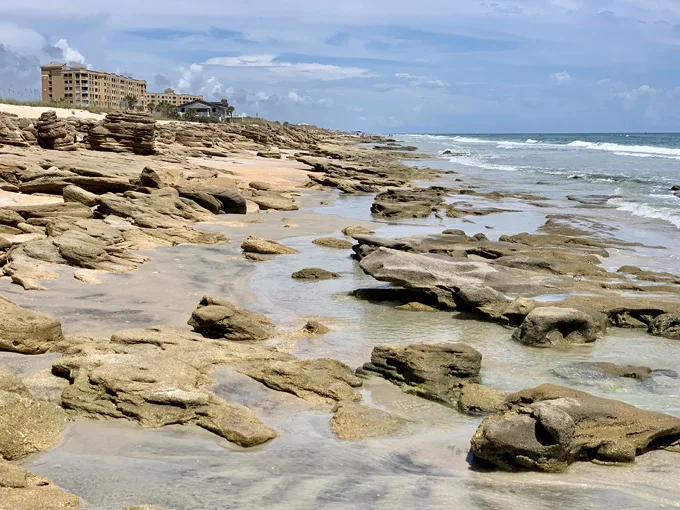 the rocks at washington oaks gardens state park 1