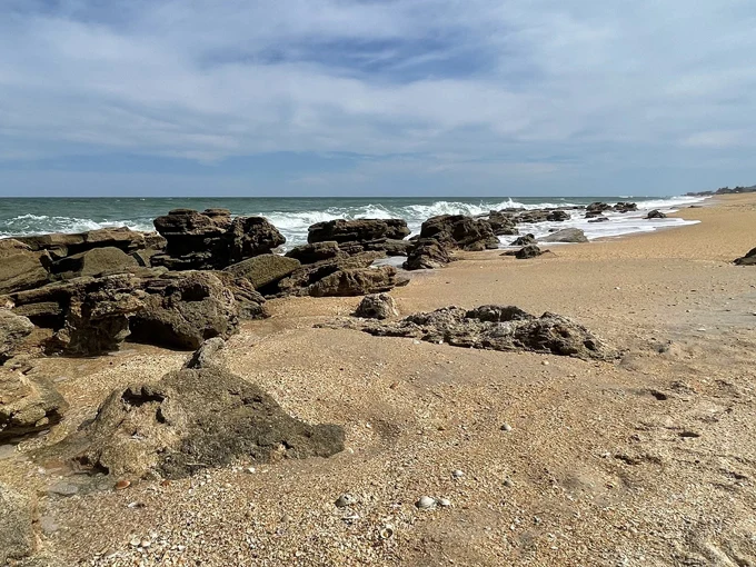 the rocks at washington oaks gardens state park 2