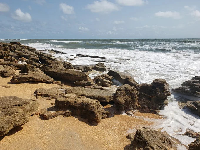 the rocks at washington oaks gardens state park 5