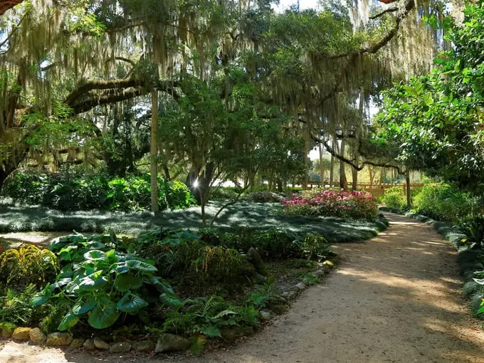 the rocks at washington oaks gardens state park 7