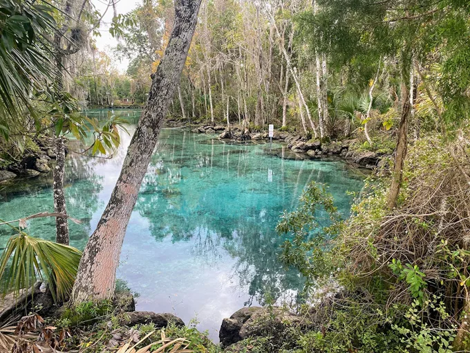 three sisters springs 1