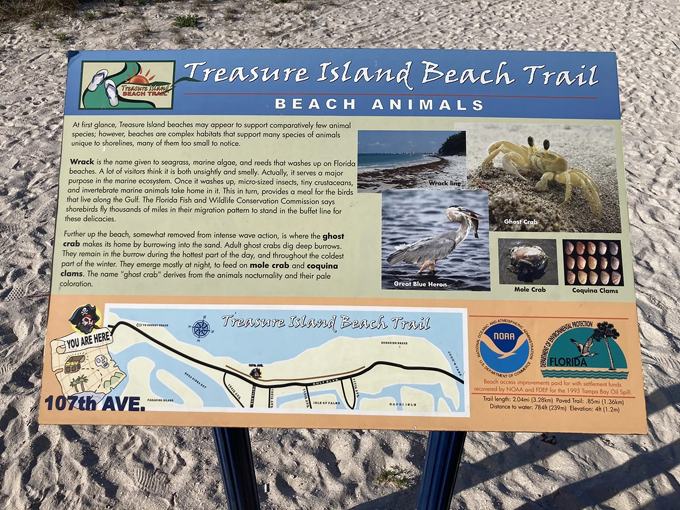 treasure island beach trail 4
