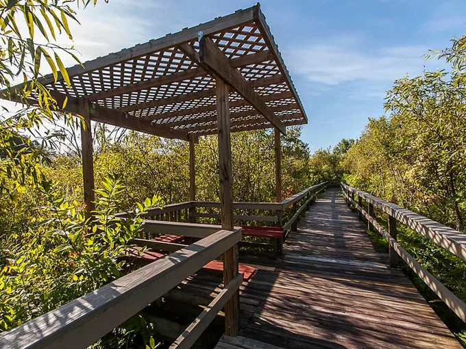 trout lake nature center 4
