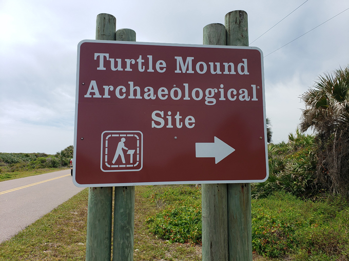 turtle mound 8
