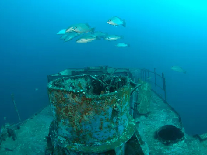 uss oriskany reef 8