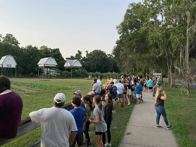 university of florida bat houses 6