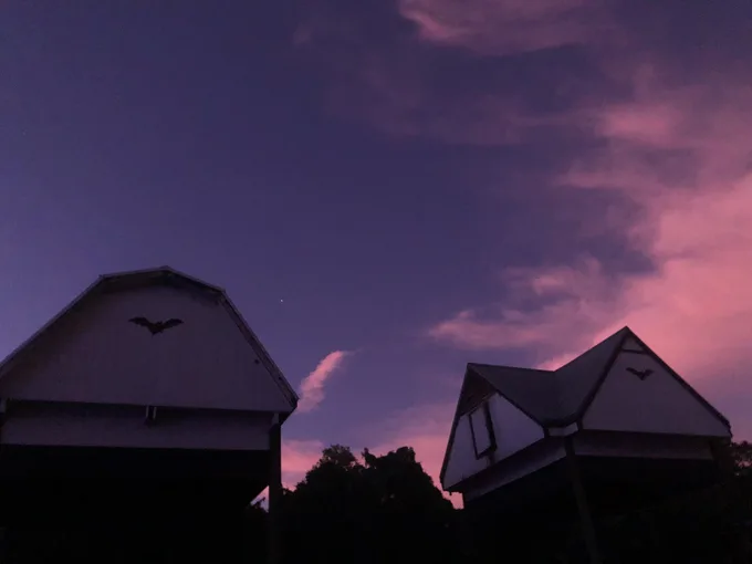 university of florida bat houses 7
