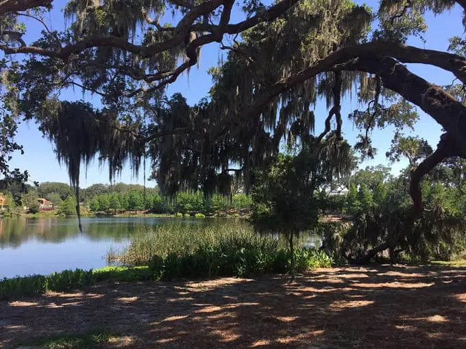 west orange trail 4