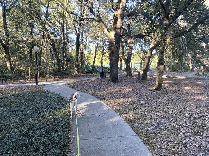 west orange trail 4