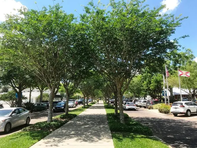 west orange trail 6