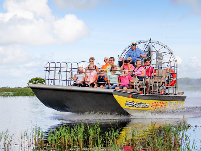 wild florida airboats gator park 1