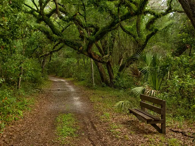 withlacoochee state trail 4