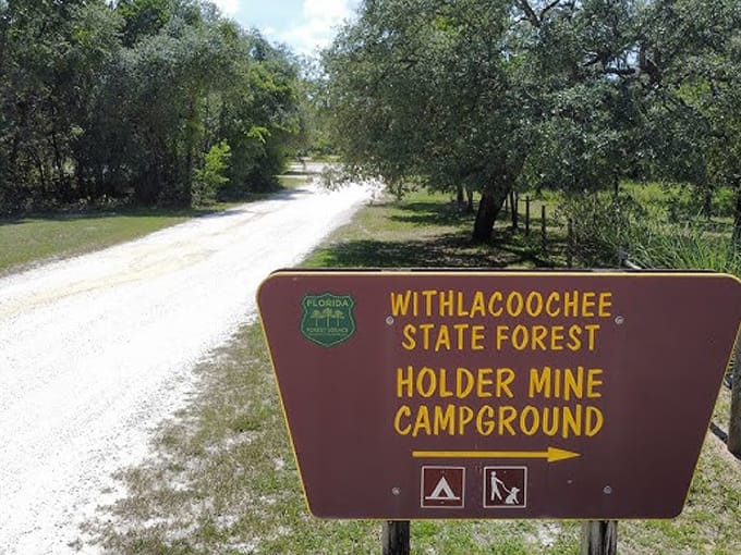 withlacoochee state trail 8