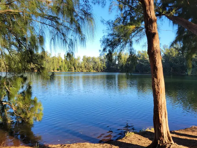 wolf lake park
