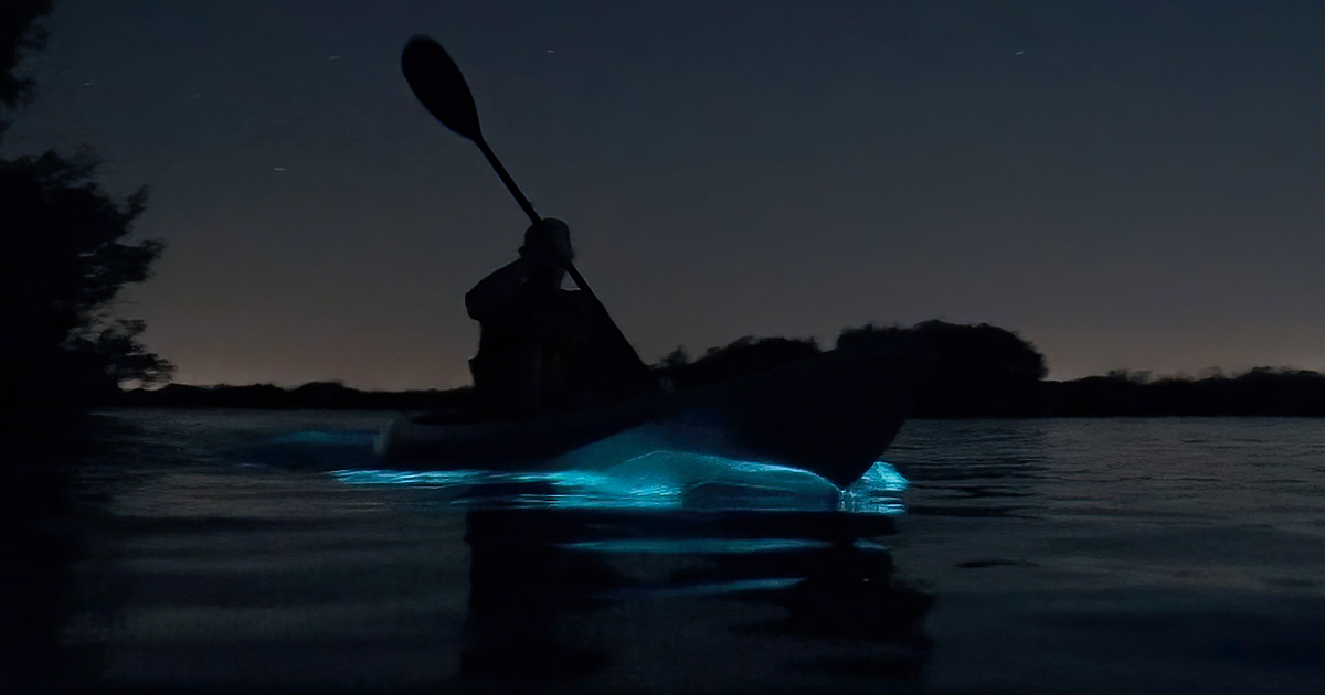 bioluminescent kayaking florida ftr
