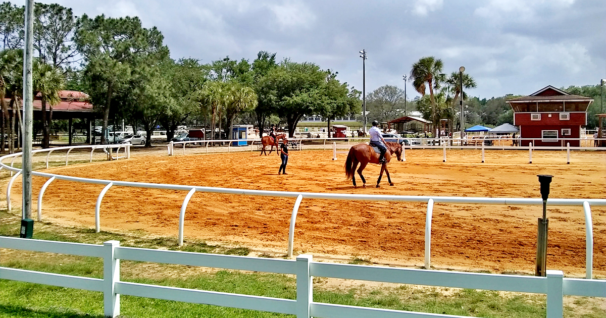 florida horse park ftr