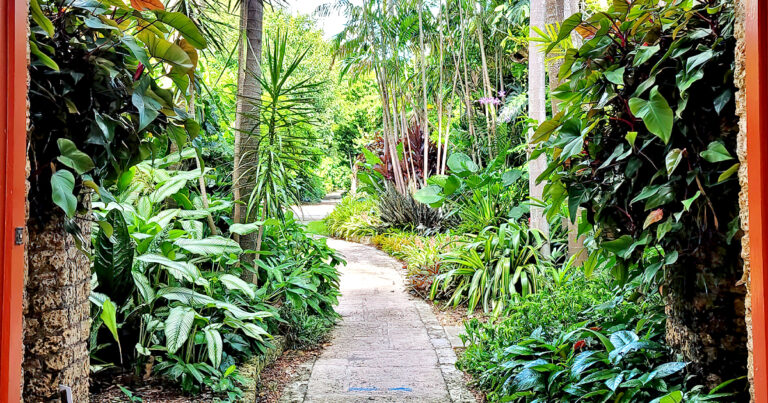 florida tropical botanical garden ftr